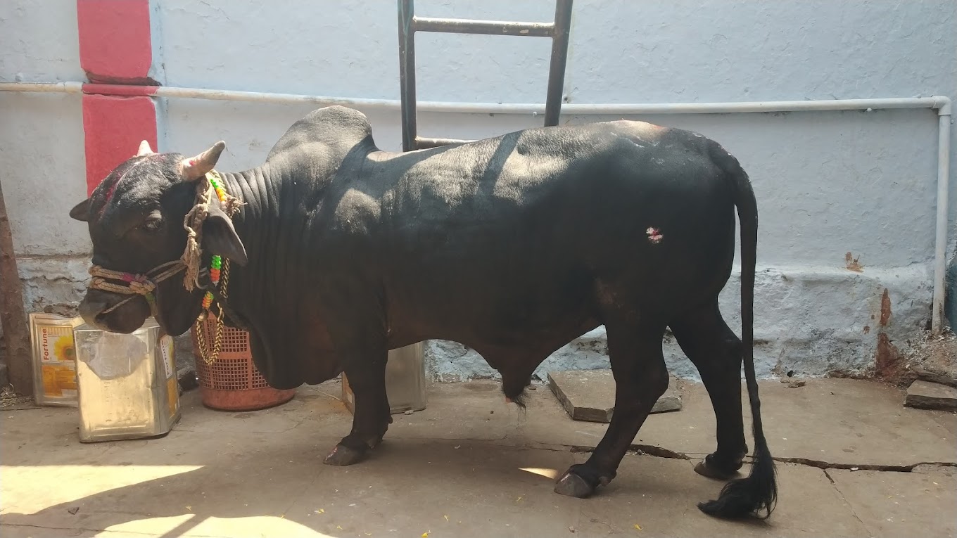 Sri Kethaki Sangameshwar Swamy Temple – Ge Blessed